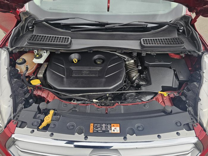 2016 Ford Escape Trend ZG AWD for sale in Pooraka, SA (Ruby Red ...